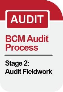 Stage 2: Audit Fieldwork